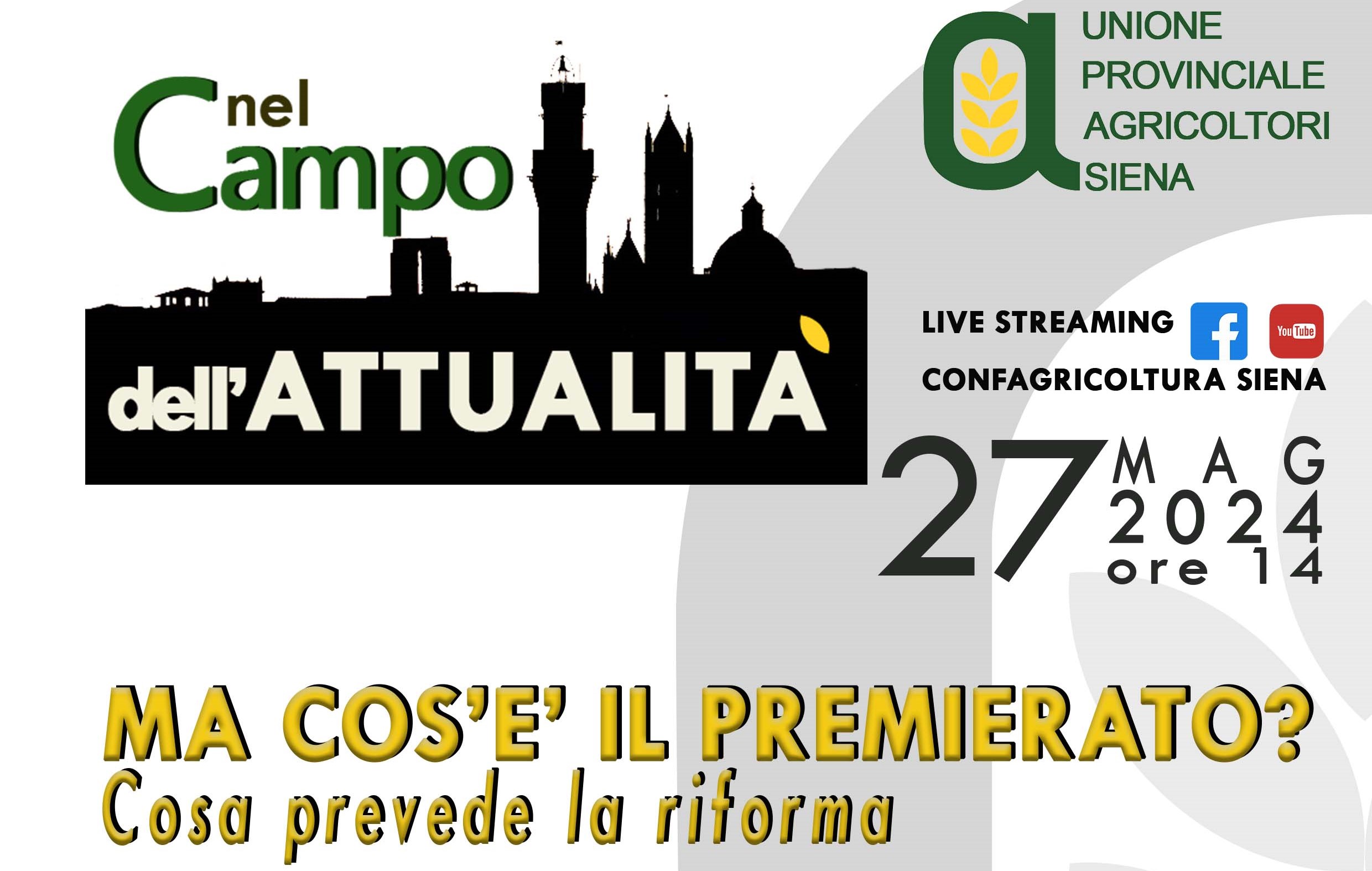 Cos’è il Premierato e perché sembra così importante? - Unione ...
